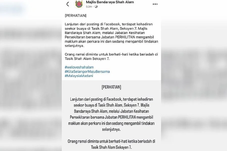 Croc alert at Taman Tasik Shah Alam » The Capital Post